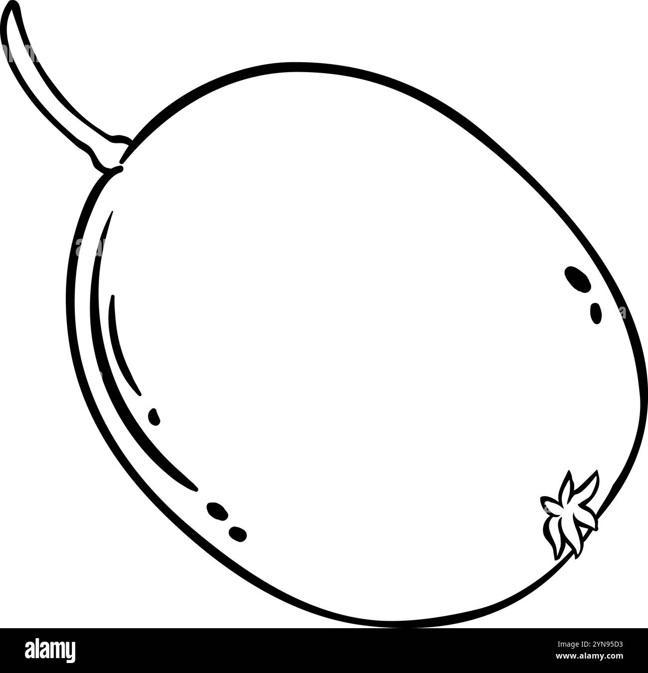 Kiwi Fruit Isolated Outline Illustration Stock Vector Image & Art - Alamy