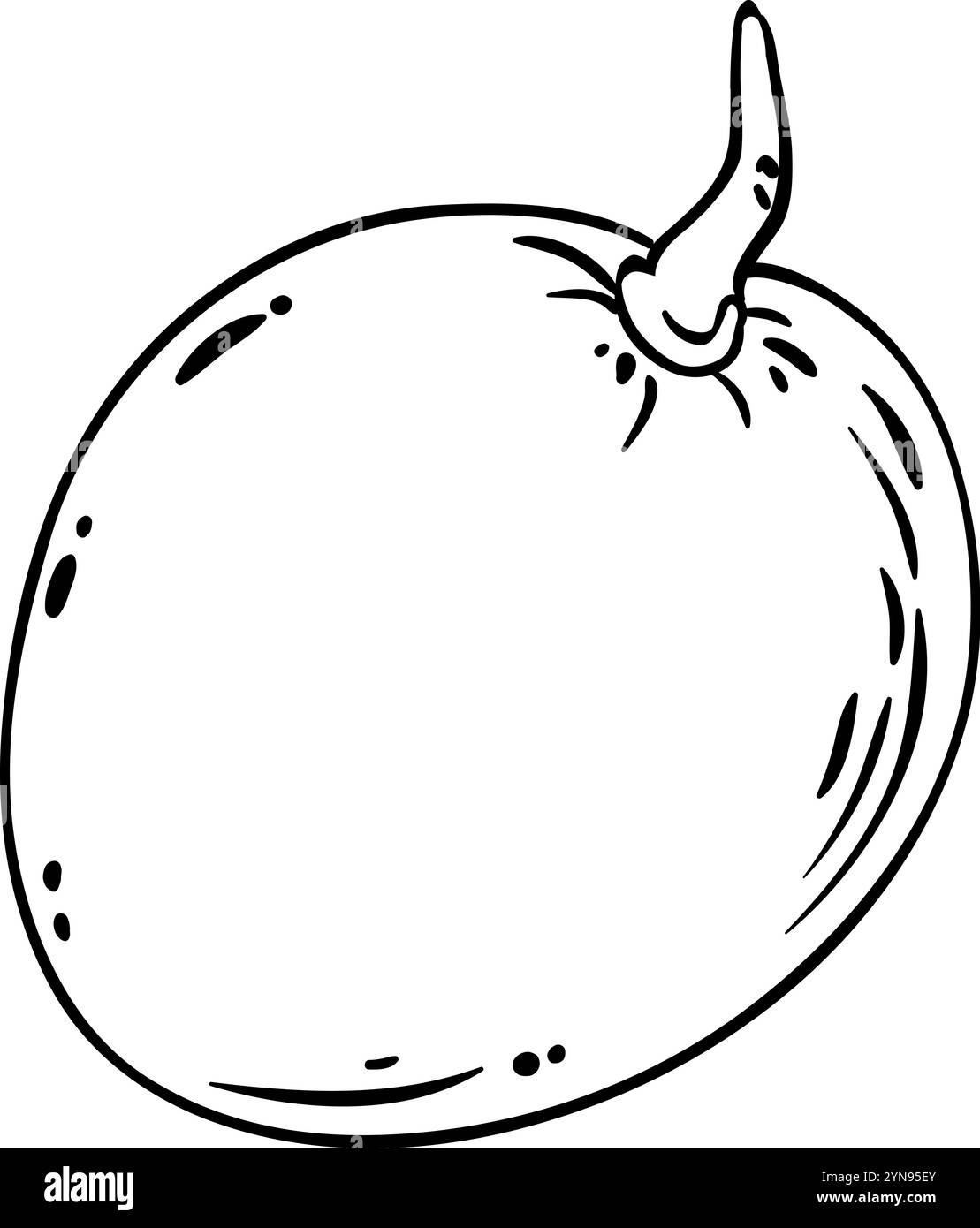 Mango Fruits Isolated Outline Illustration Stock Vector Image & Art - Alamy