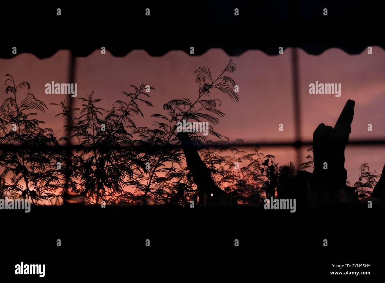 Vibrant color dramatic sky hi-res stock photography and images - Alamy