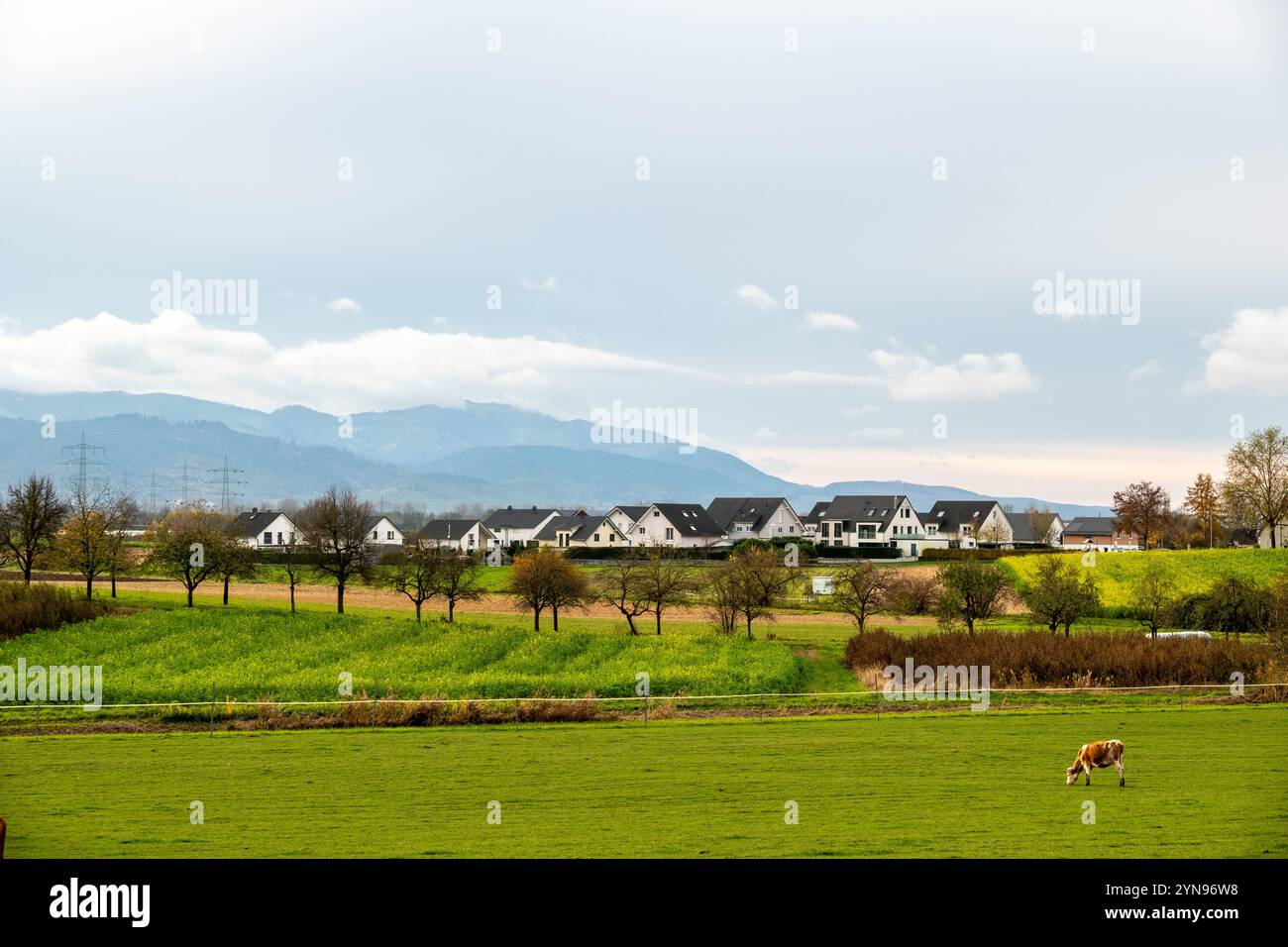 Residential buildings in Mengen, Germany Stock Photo - Alamy