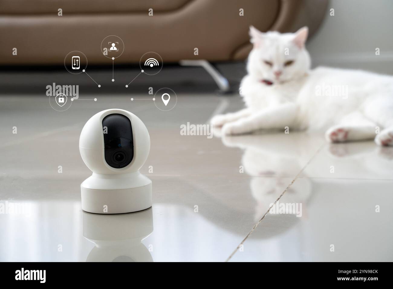 home security camera Smart CCTV cameras detect your beloved cat for ...