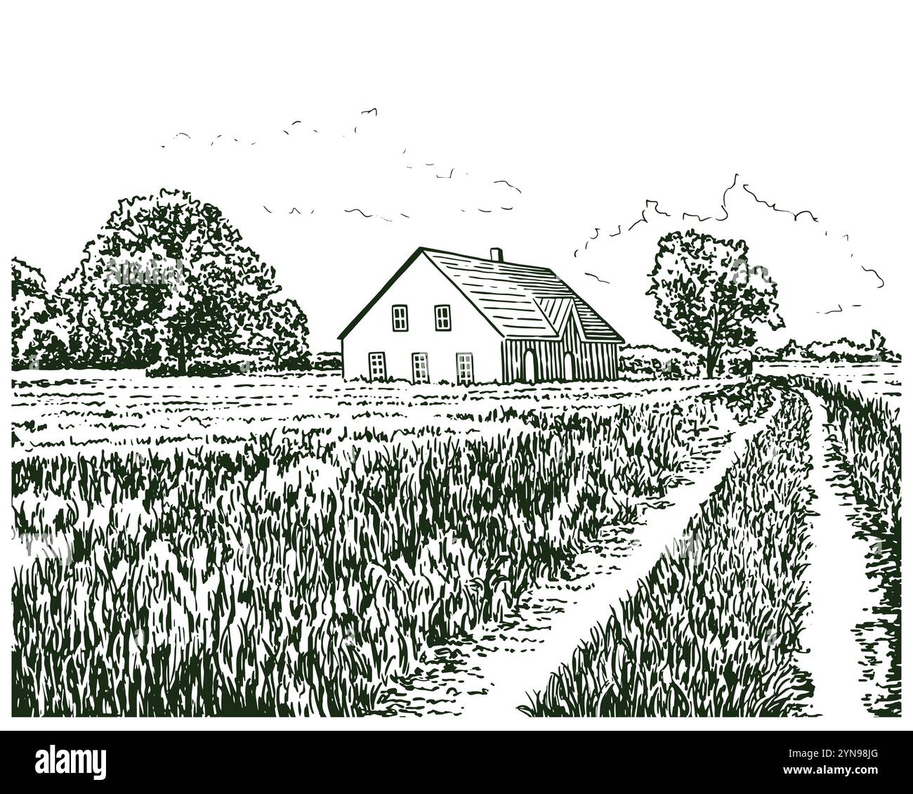 Vintage sketch illustration of vine farm Stock Vector Image & Art - Alamy
