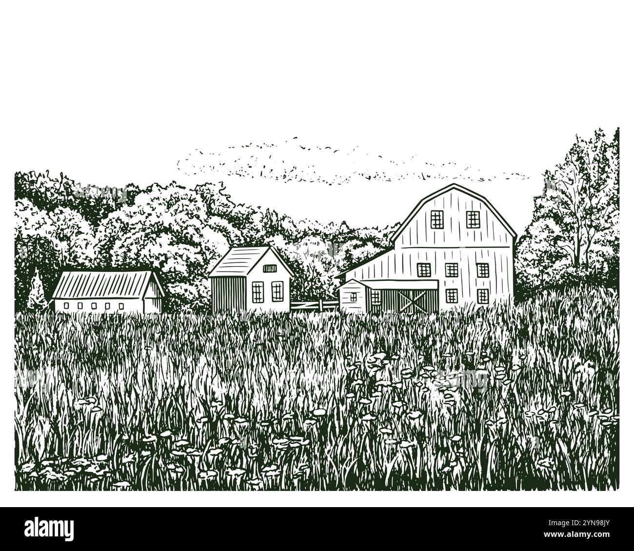 Vintage sketch illustration of vine farm Stock Vector Image & Art - Alamy