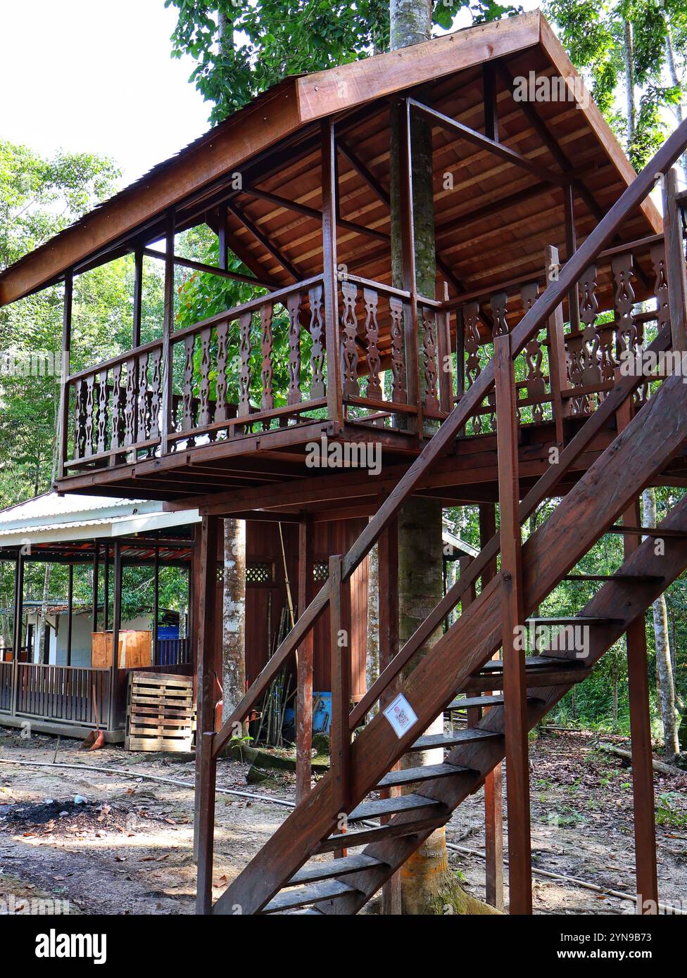 tree house with dayak carvings in the middle of meranti forest ...