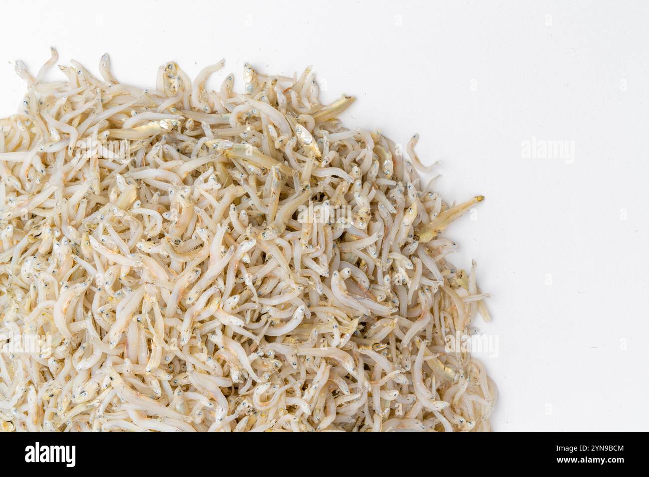 Fresh dried anchovies on White Background. Raw dry salted sea fish ...