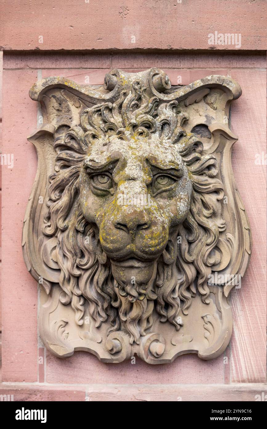 Ancient statue of a noble knight at Heidelberg old castle, Germany, 20 ...