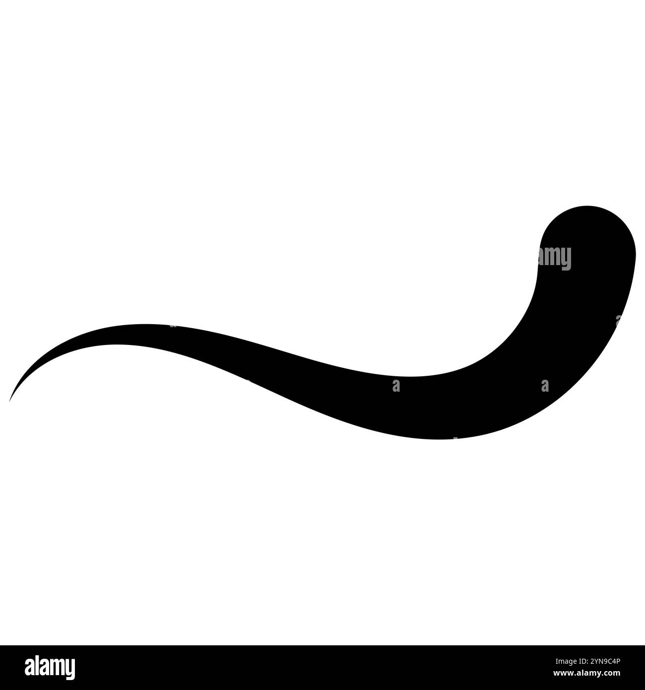 Curved curve calligraphy line, curved line curl swish wave Stock Vector ...