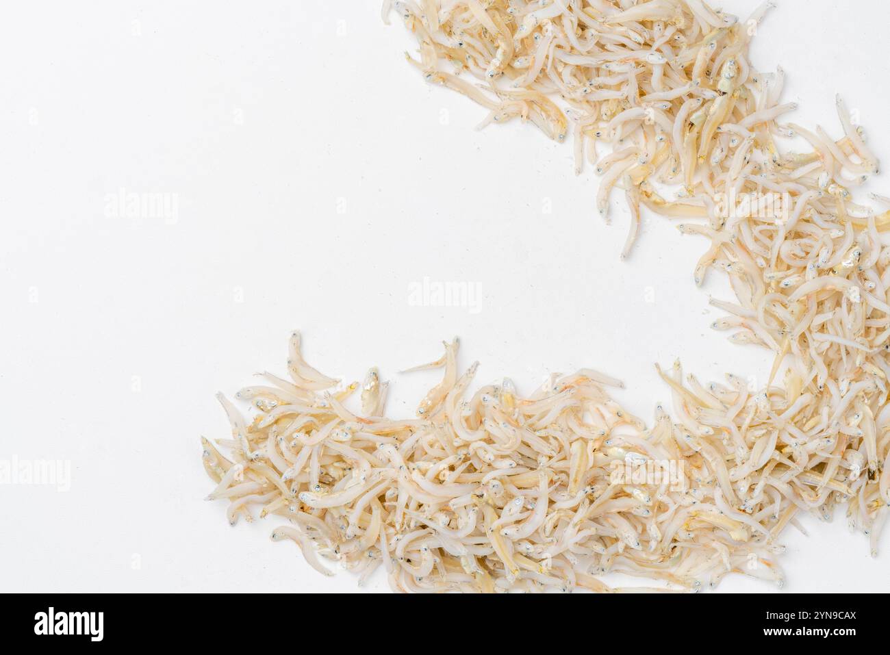 Fresh dried anchovies on White Background. Raw dry salted sea fish ...