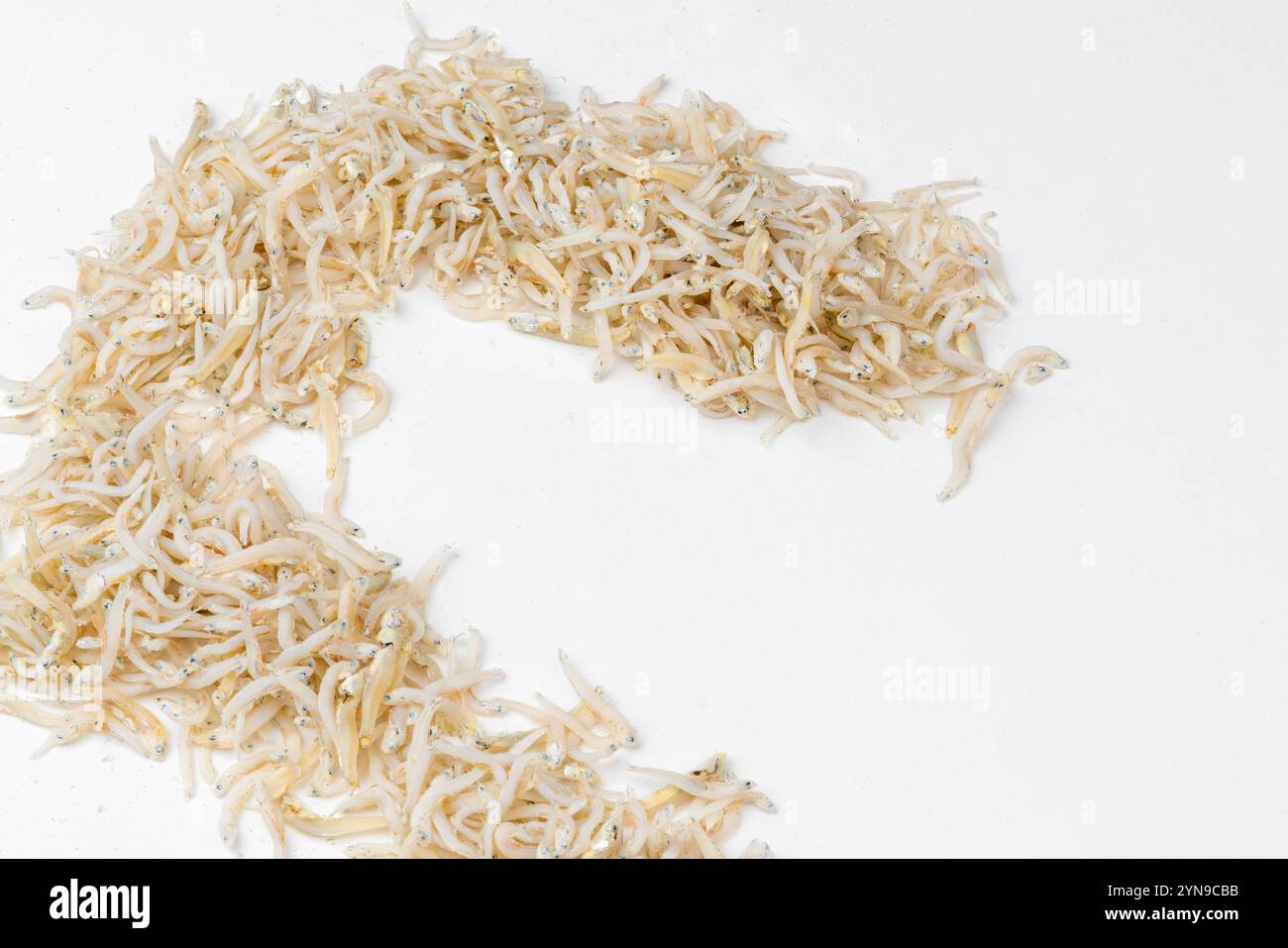 Fresh dried anchovies on White Background. Raw dry salted sea fish ...