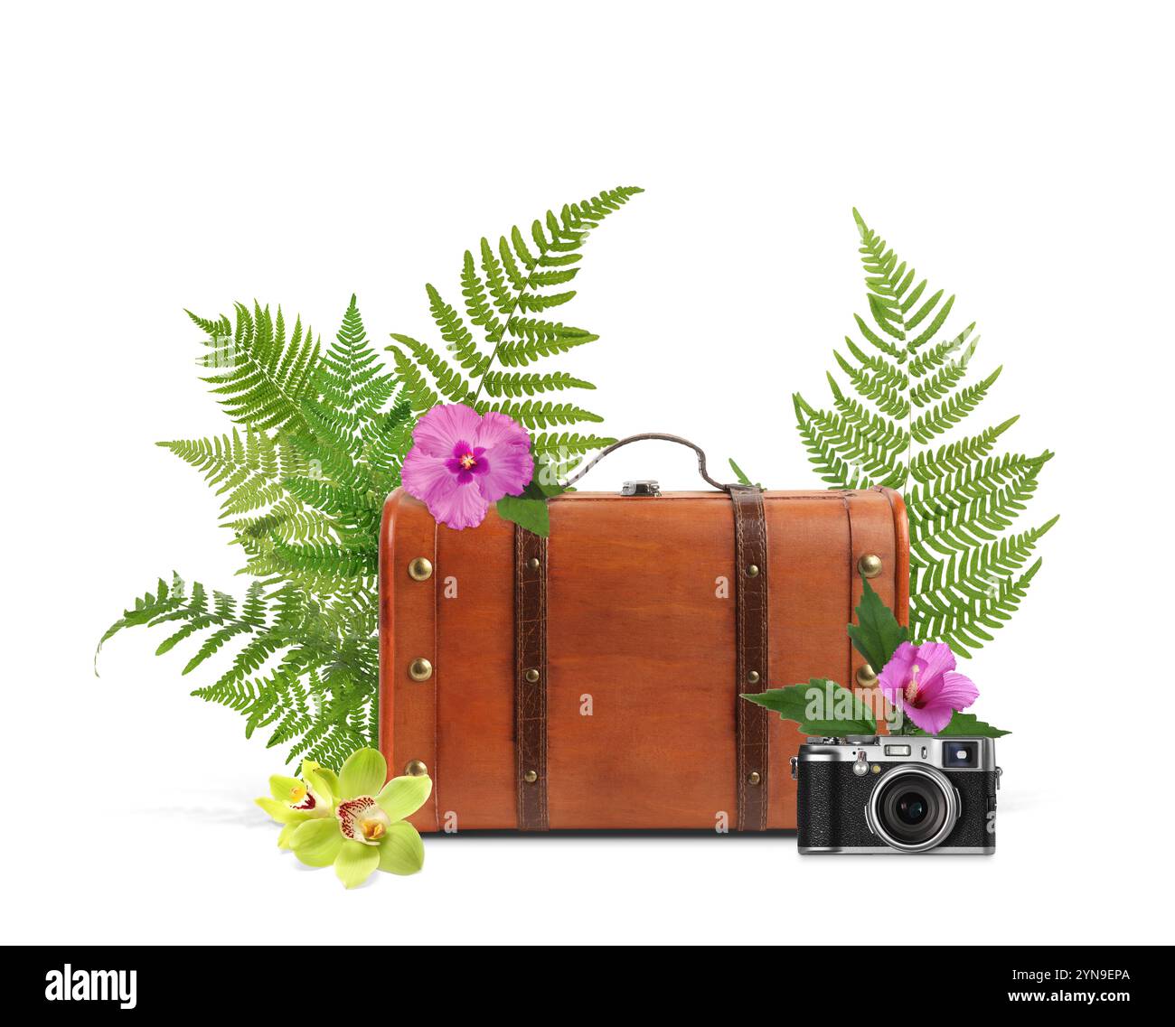 Camera on plane flight Cut Out Stock Images & Pictures - Alamy