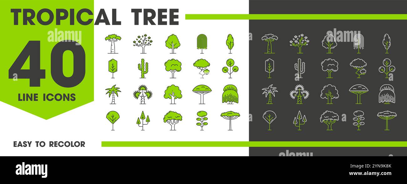 Tropical jungle forest trees line icons of jungle palms and baobab ...