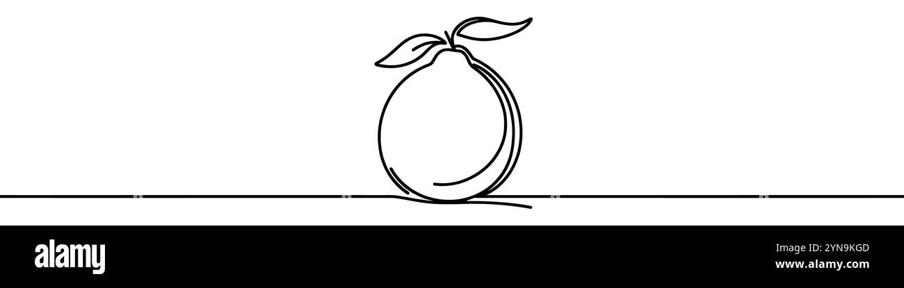 One continuous line illustration of a lime, isolated on white ...