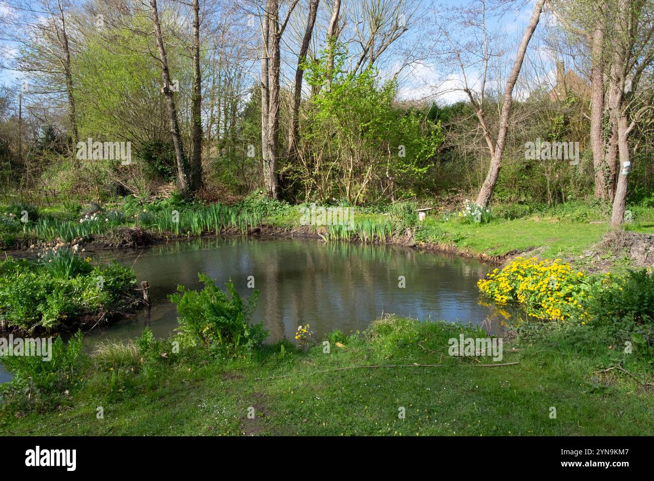 The village pond at West Itchenor, West Sussex, UK Stock Photo - Alamy