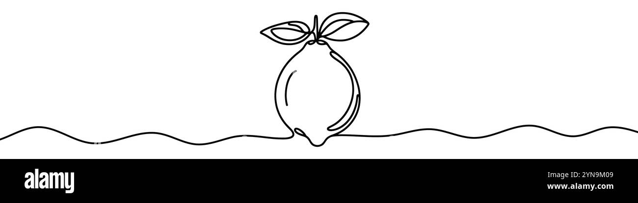 One continuous line illustration of a lime, isolated on white ...