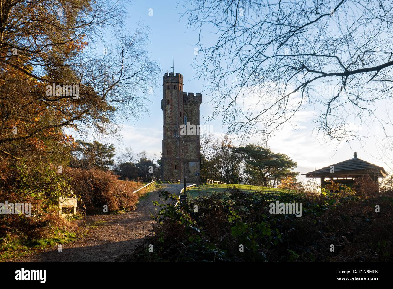 Leith Hill Tower, view of the Surrey landmark on a winter morning ...