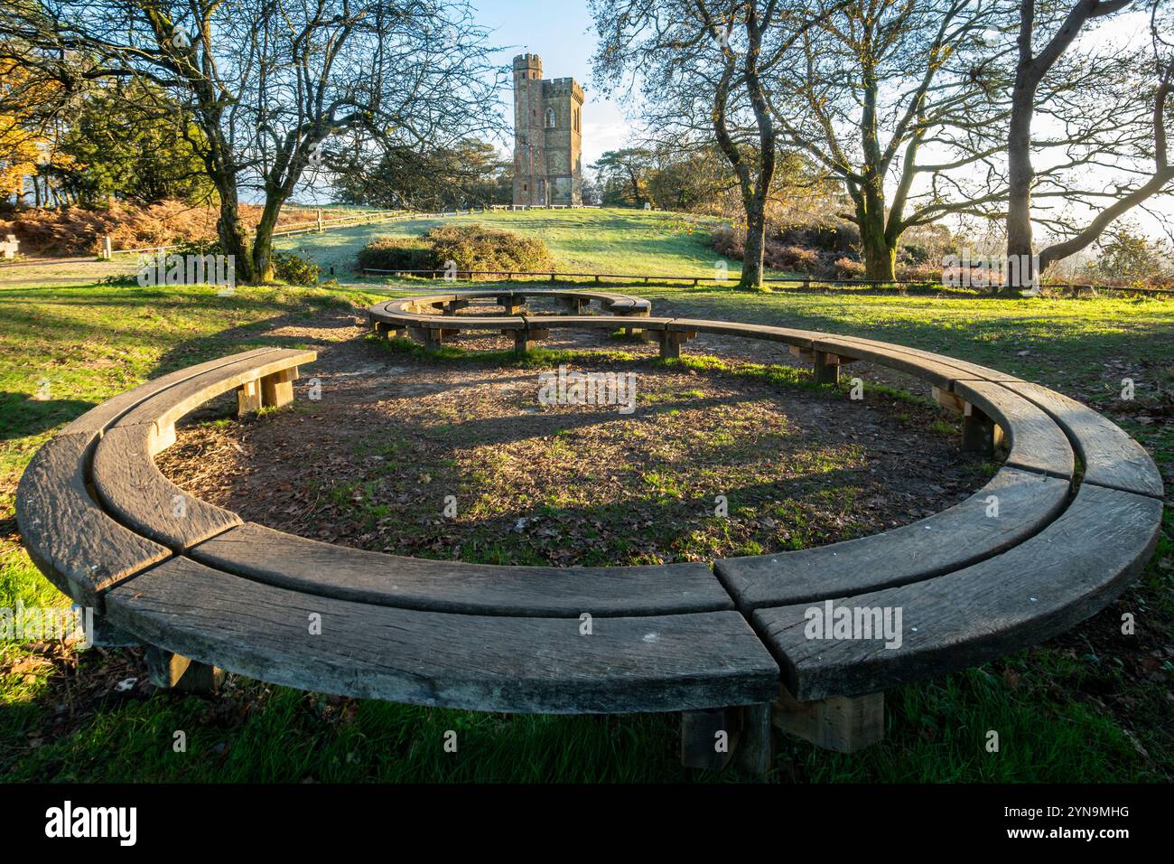 Leith Hill Tower, view of the Surrey landmark on a winter morning ...