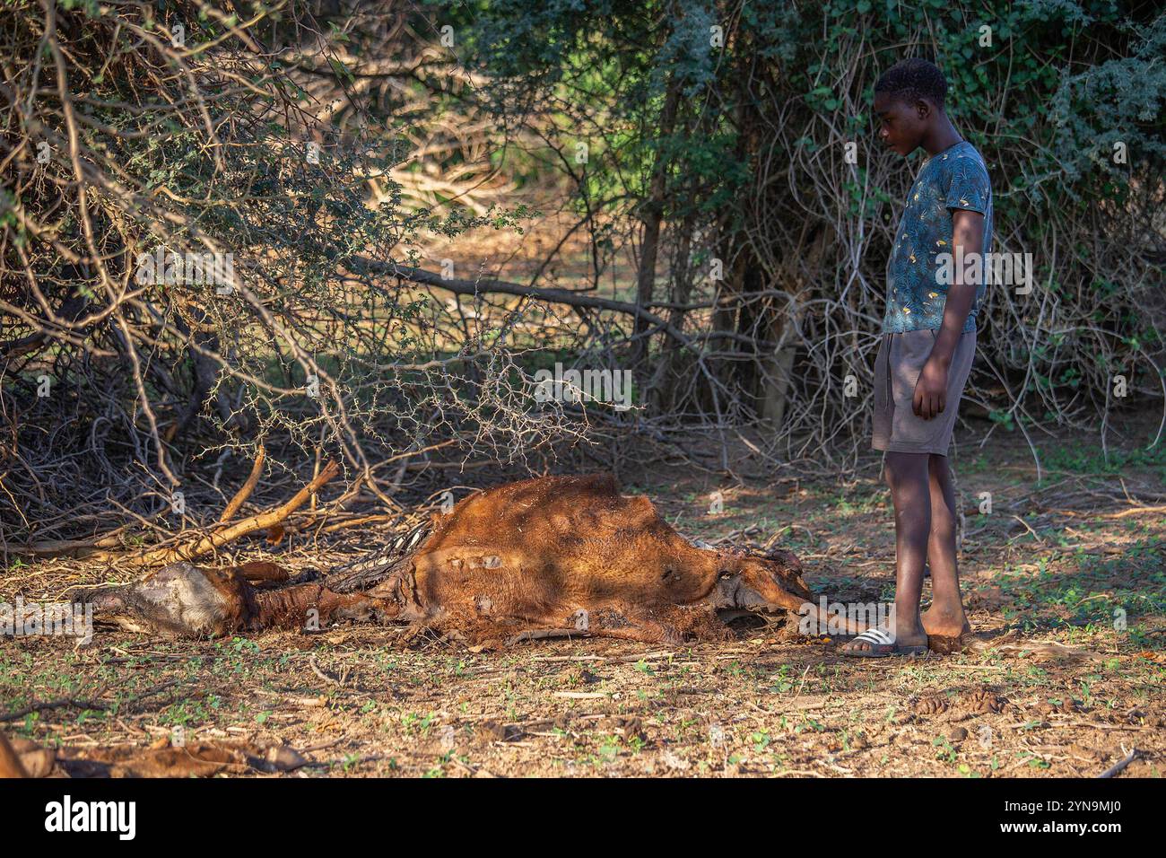 Zimbabwean children hi-res stock photography and images - Alamy