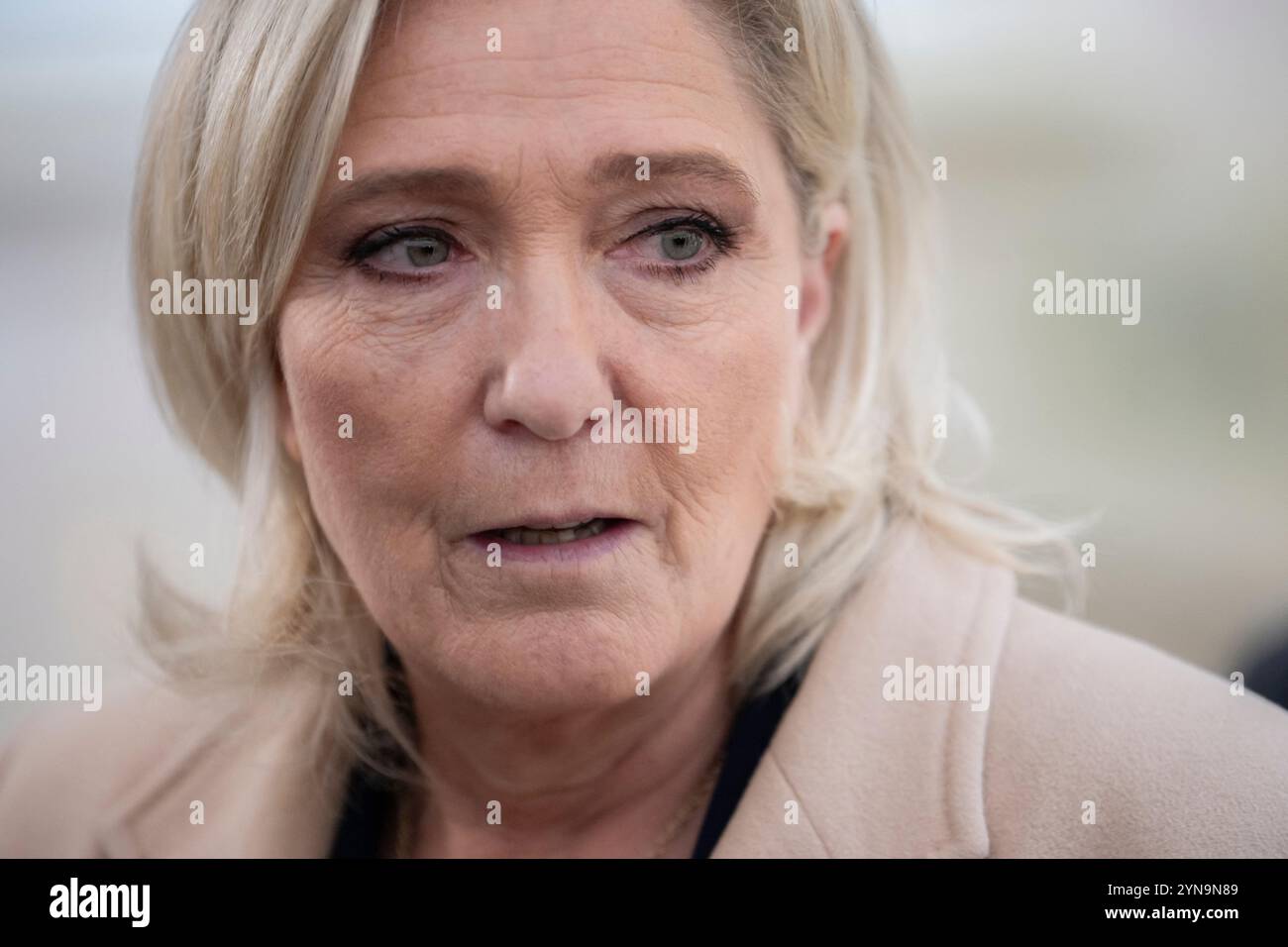 Paris, France. 25th Nov, 2024. Marine Le Pen ( gestures and looks ...