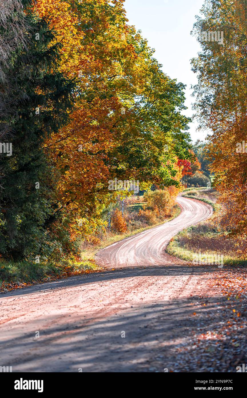 Winding road curves through scenic autumn foliage trees in Latvia ...