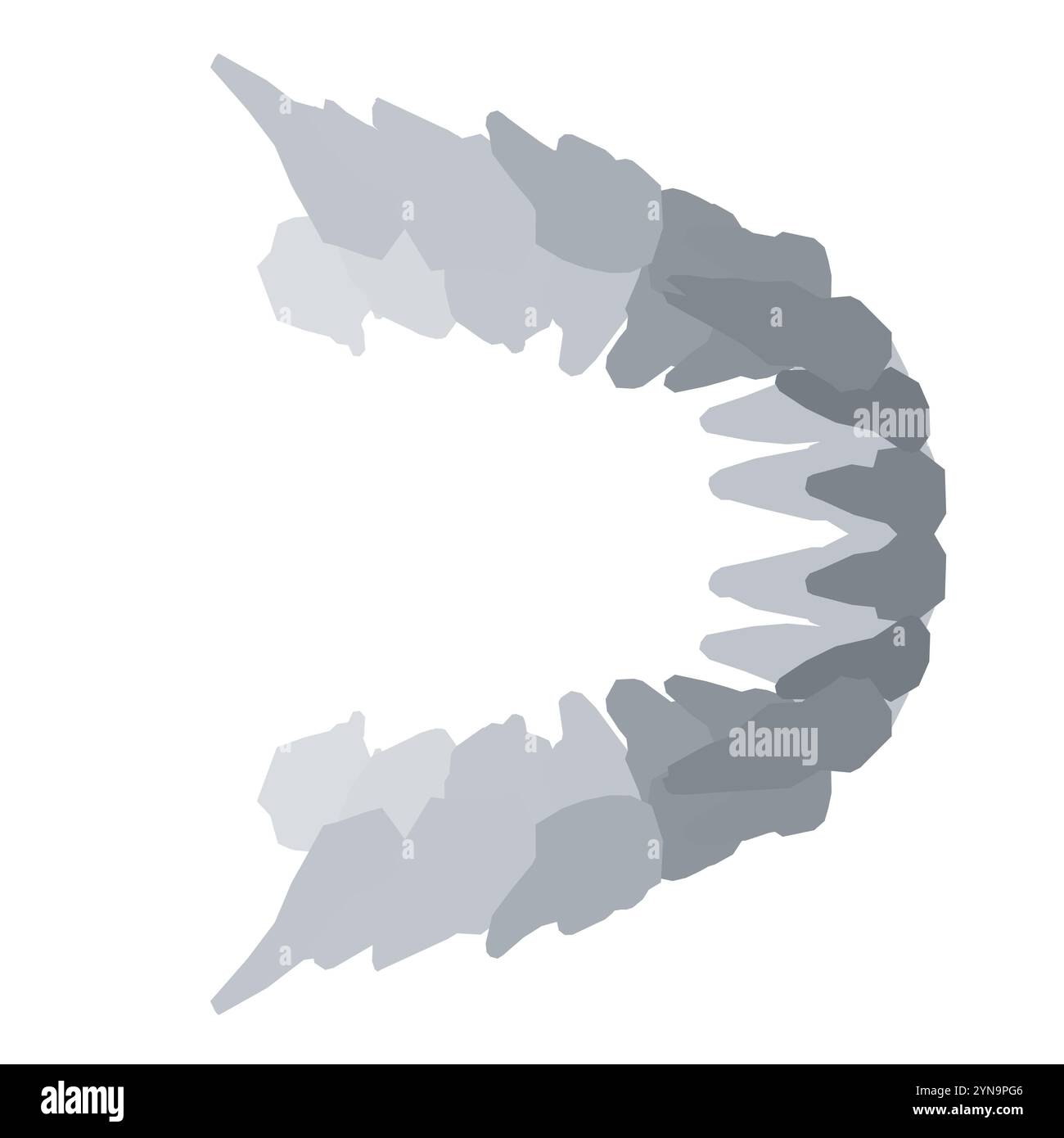 Types of tooth silhouette. Various human tooth with roots, molars ...