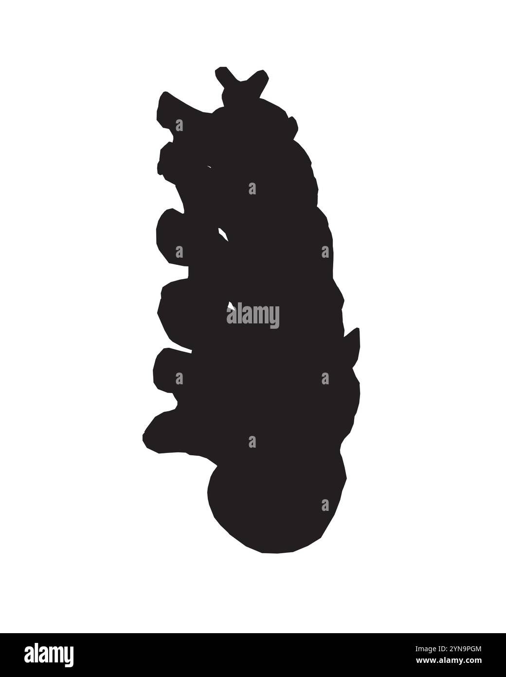 Human body front back drawing vector hi-res stock photography and ...