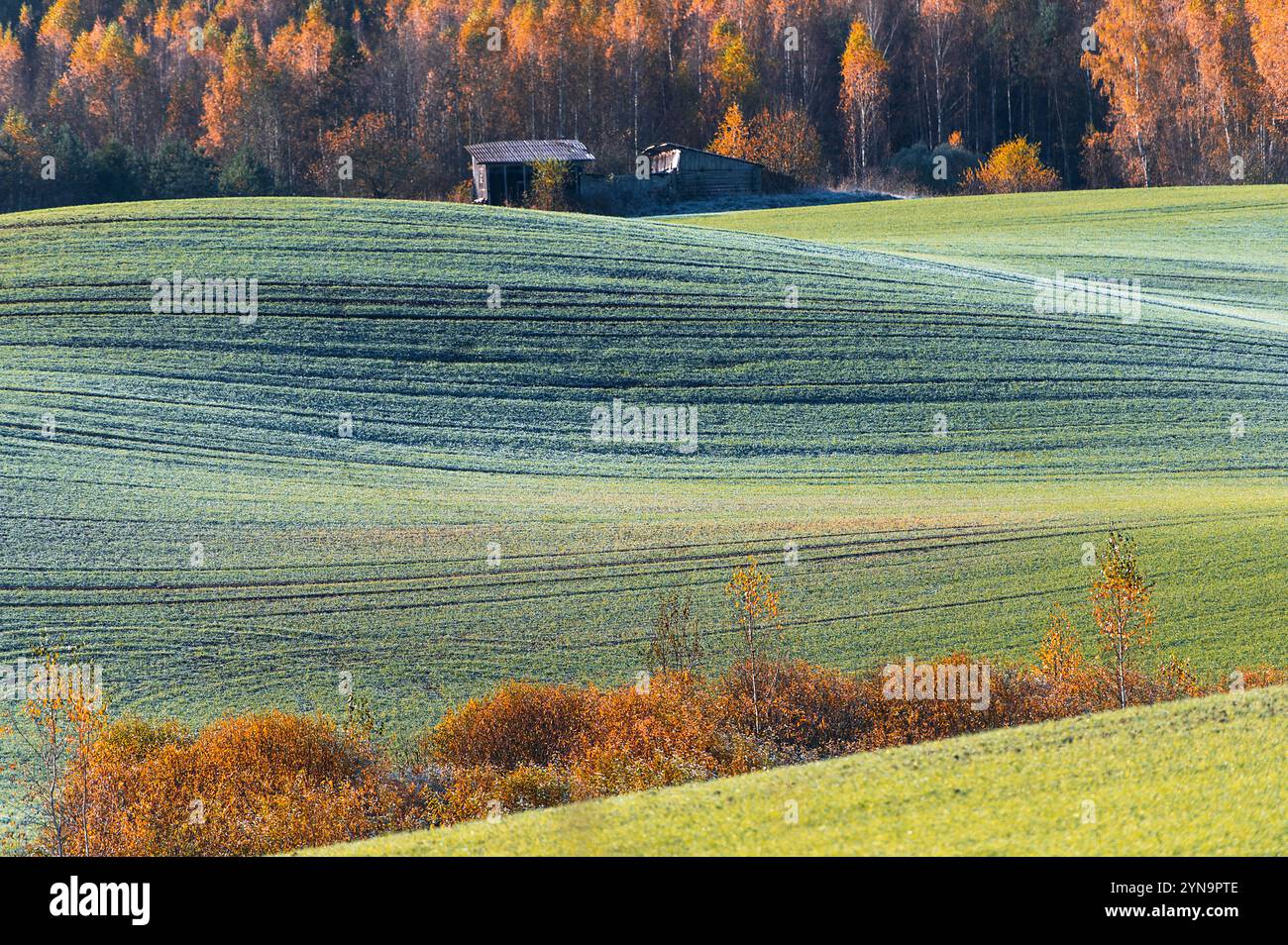 Latvian hills hi-res stock photography and images - Alamy