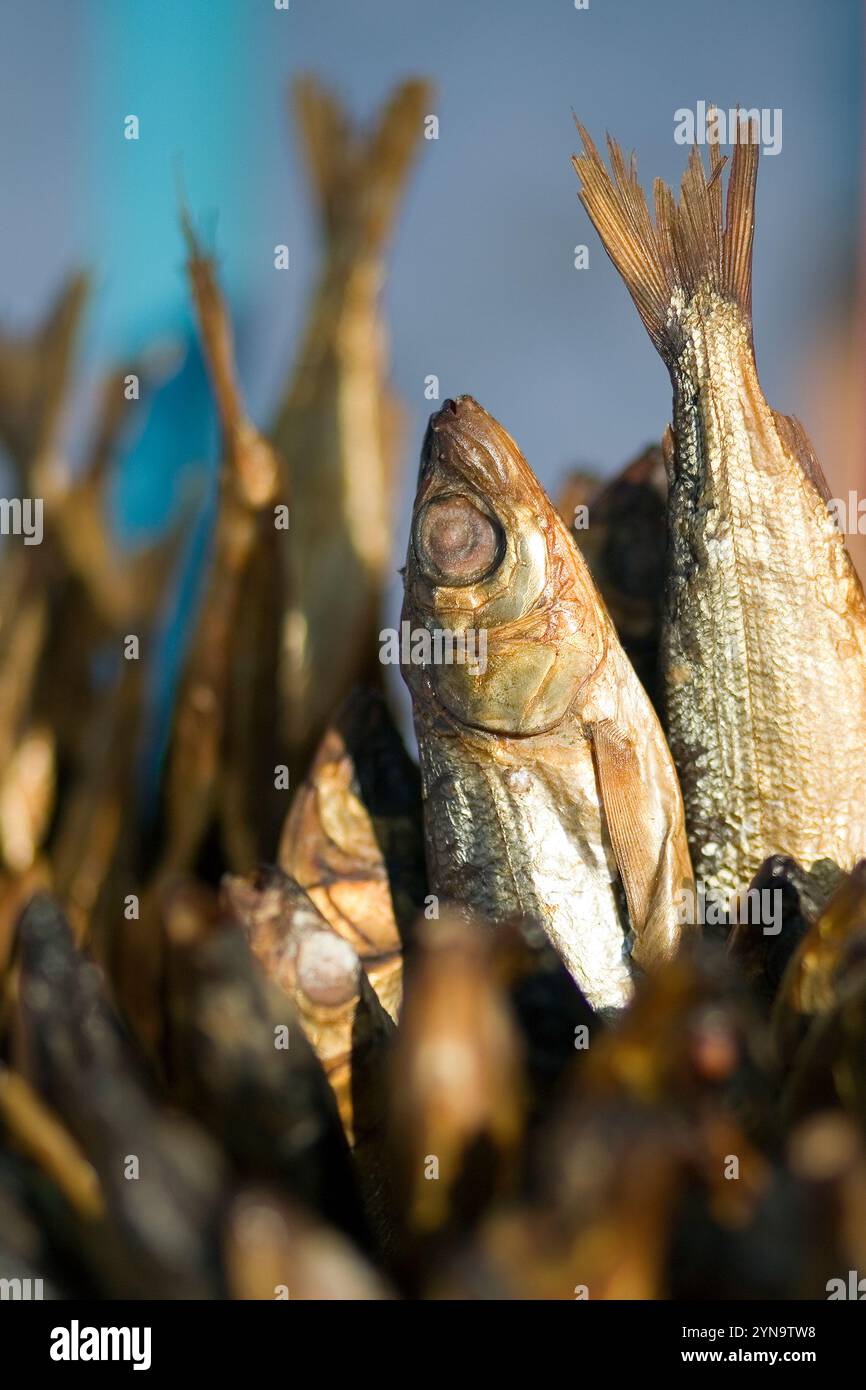 Locally dried fish for sale at a roadside Russian fish market in ...