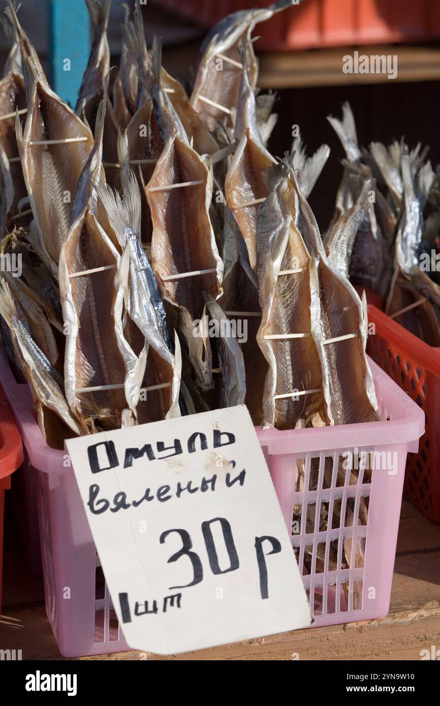 Fish for sale at an outdoor market in Baikalsk, Siberia, Russia Stock ...