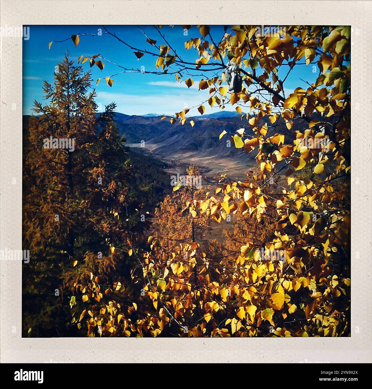 Outdoor scenery in Altai Republic Siberia Stock Photo - Alamy