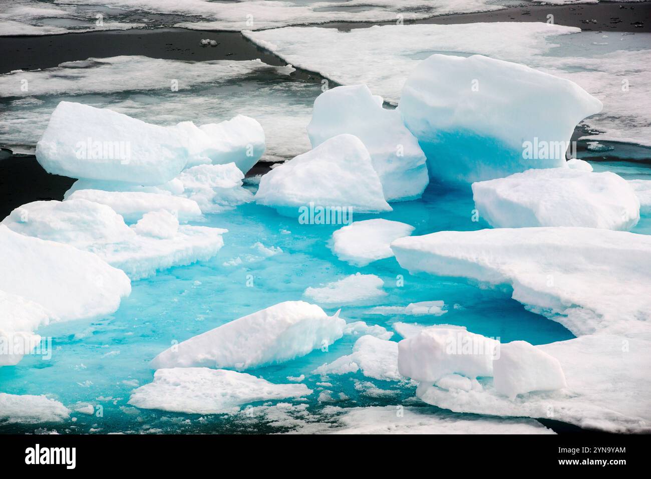 Floe floating on water Stock Photo - Alamy