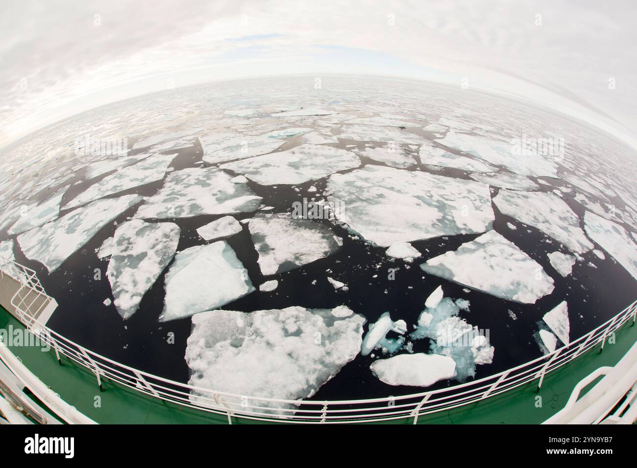 Floating frozen fish hi-res stock photography and images - Alamy