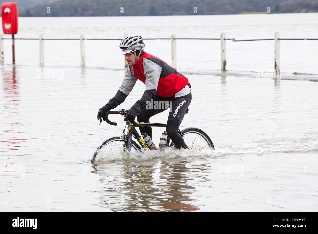 Cyclist riding bicycle in flooded street in Storth at Kent river ...