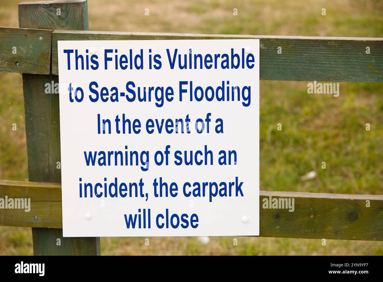 Warning sign about coastal flooding Stock Photo - Alamy
