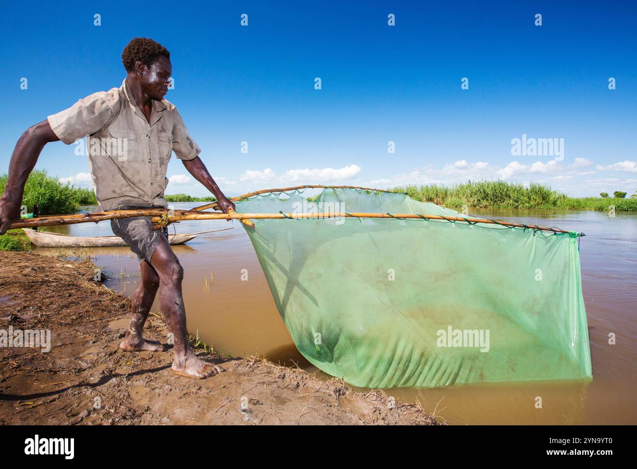 Fisherman catching small fish, Nsanje, Shire Valley, Malawi Stock Photo ...