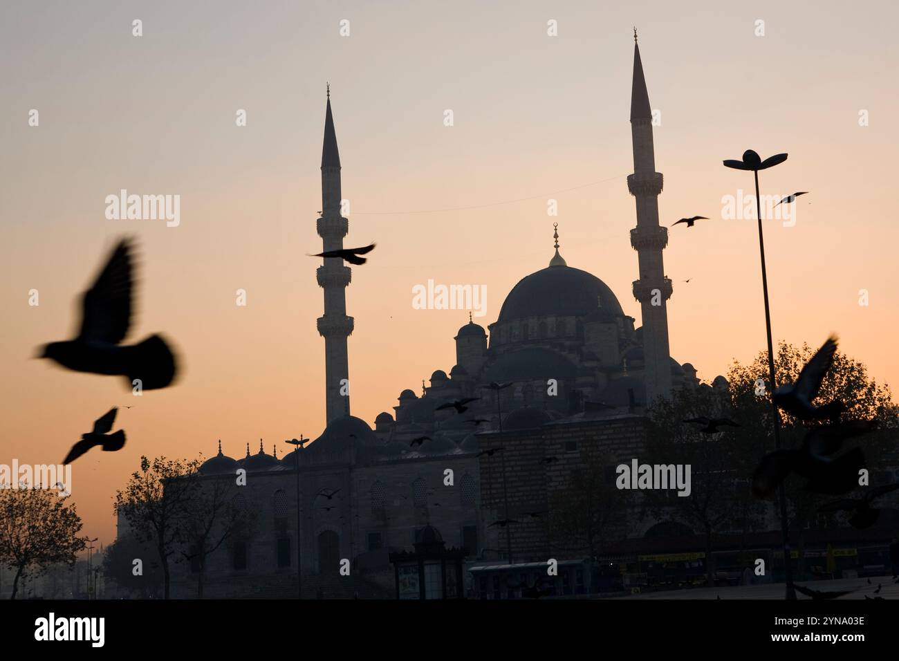 Pigeons fly as day breaks on the Blue Mosque, Istanbul, Turkey Stock ...