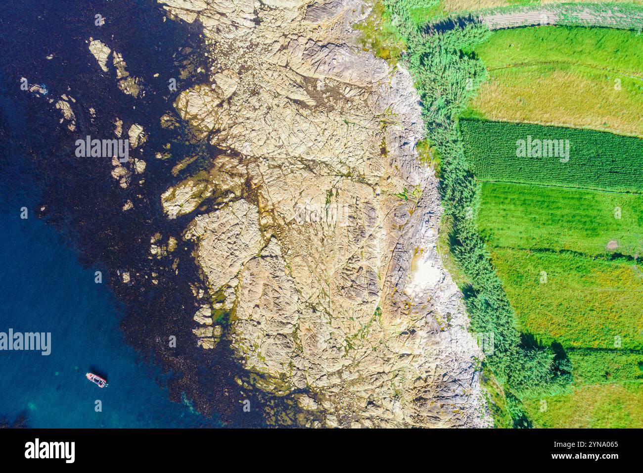rocky shore of a rocky coast and agricultural fields, aerial view with ...