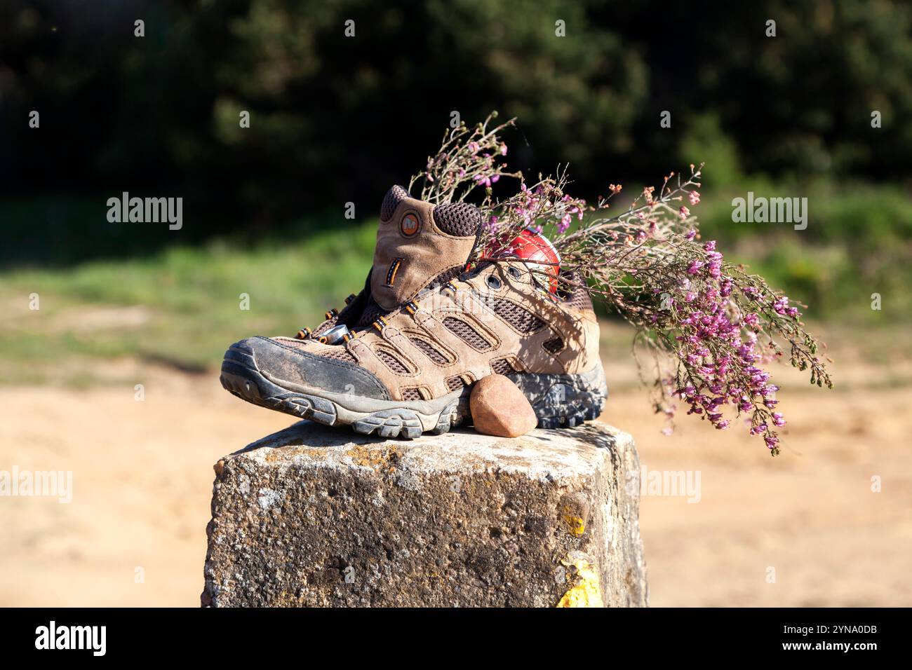 A stone marker adorned with a shell symbol stands along the Camino de ...