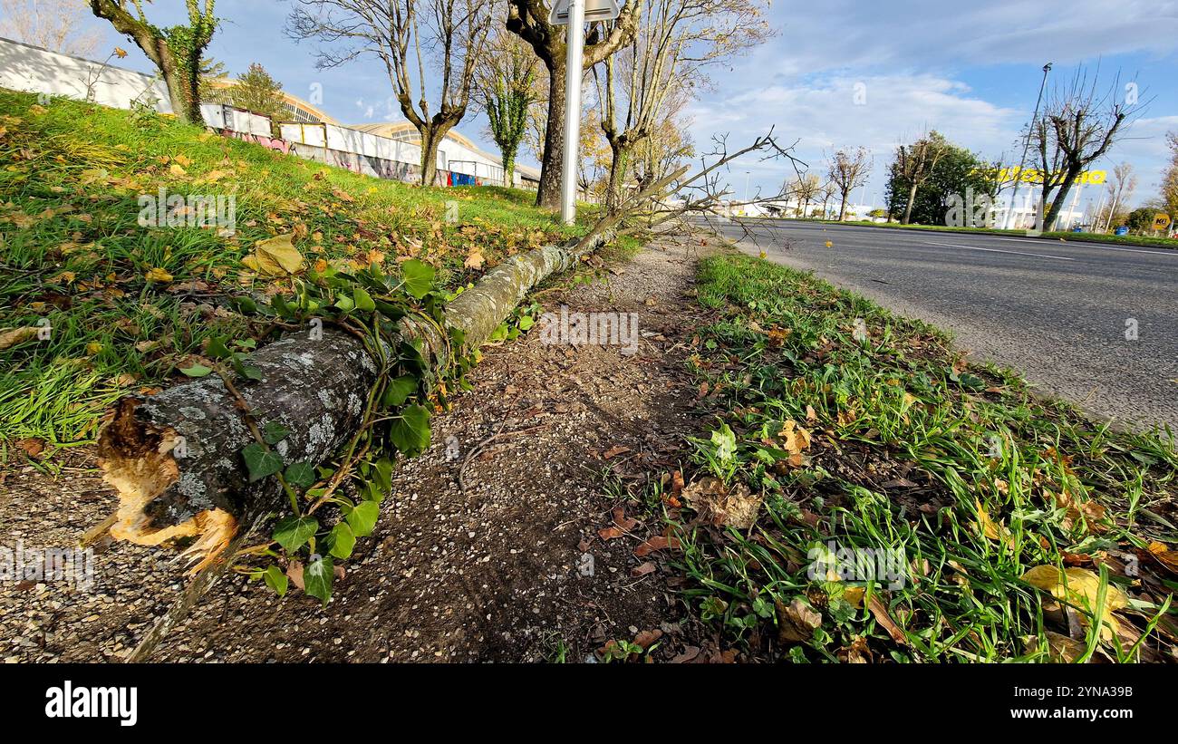 Storm Bert: strong wind sweaps France, France Stock Photo - Alamy