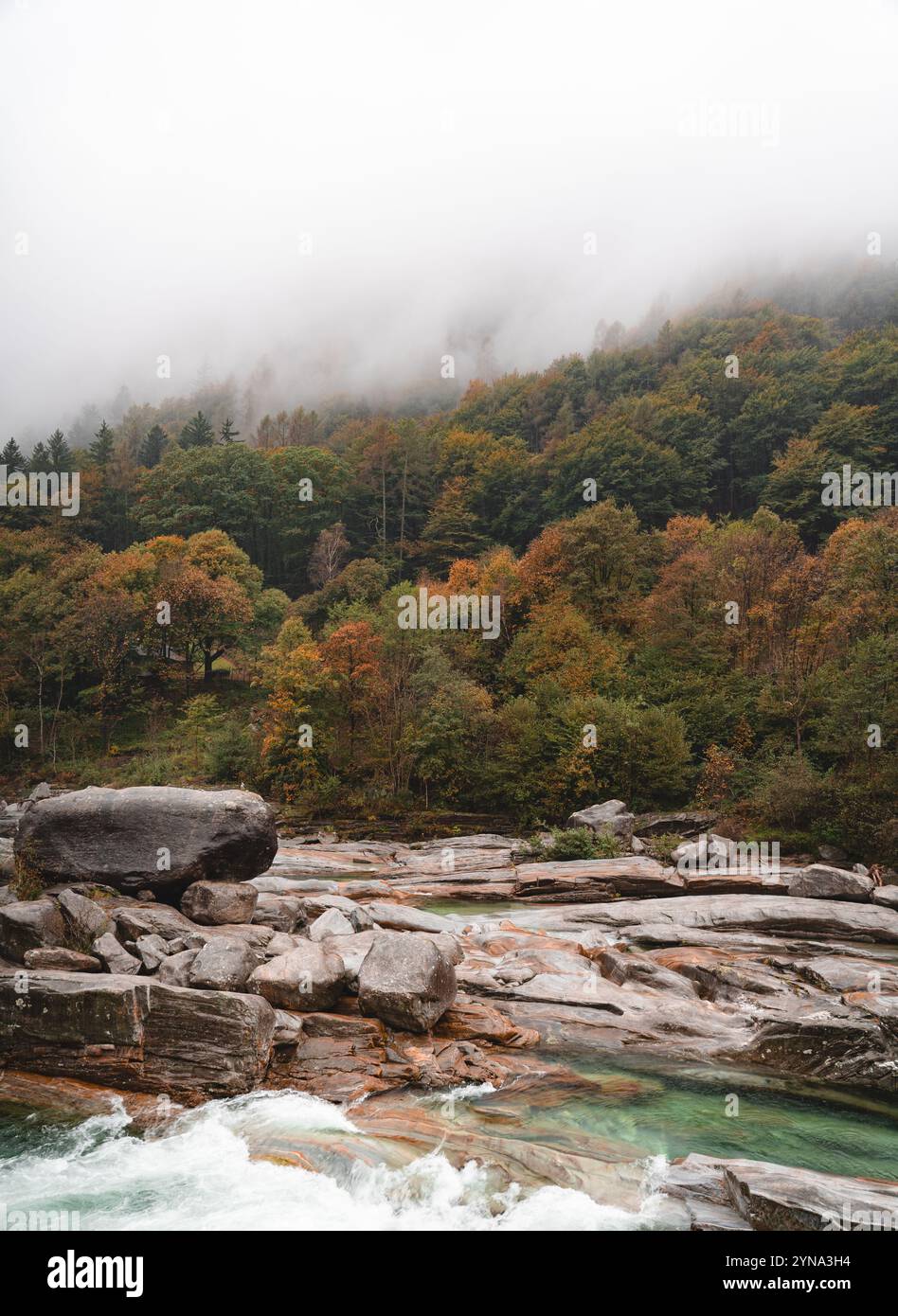 A rainy autumn landscape with vibrant foliage surrounds a gently ...