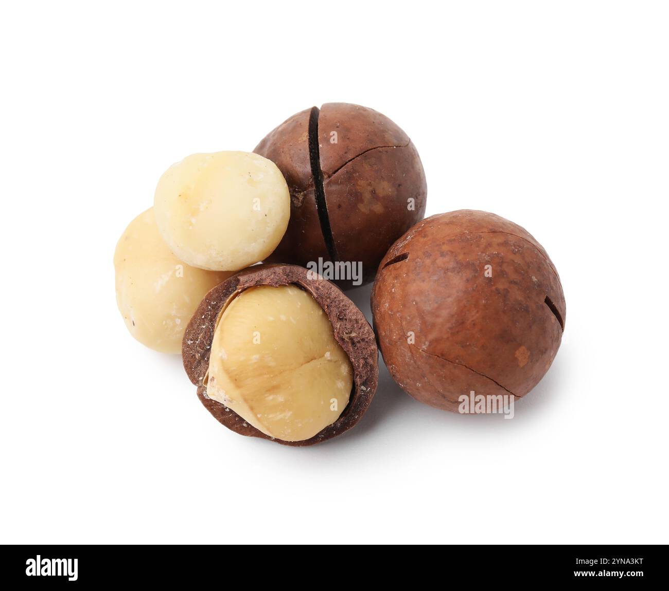 Macadamia nuts with shells isolated on white Stock Photo - Alamy