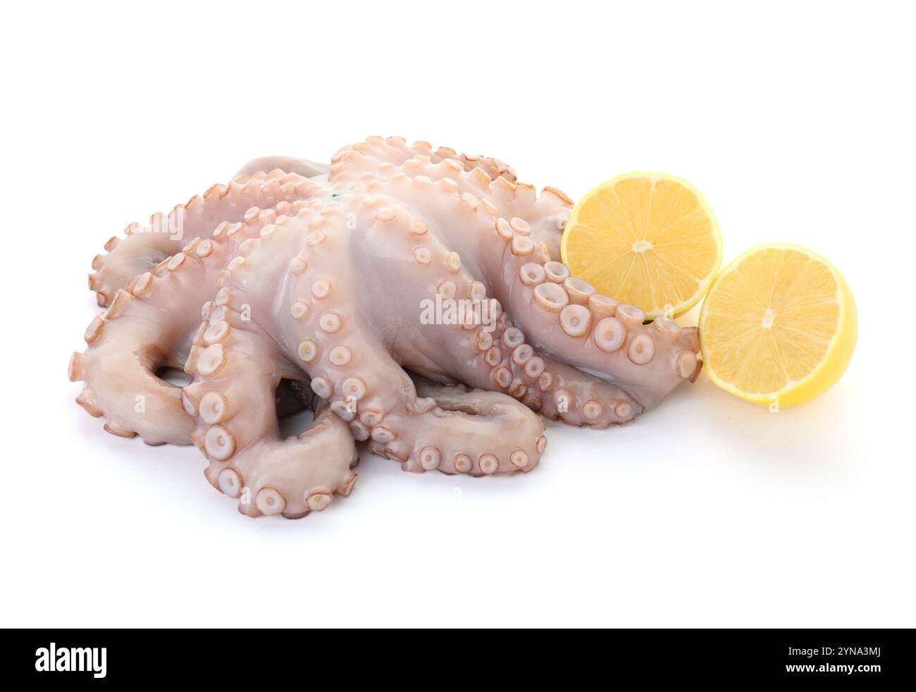 One fresh raw octopus and halves of lemon isolated on white Stock Photo ...