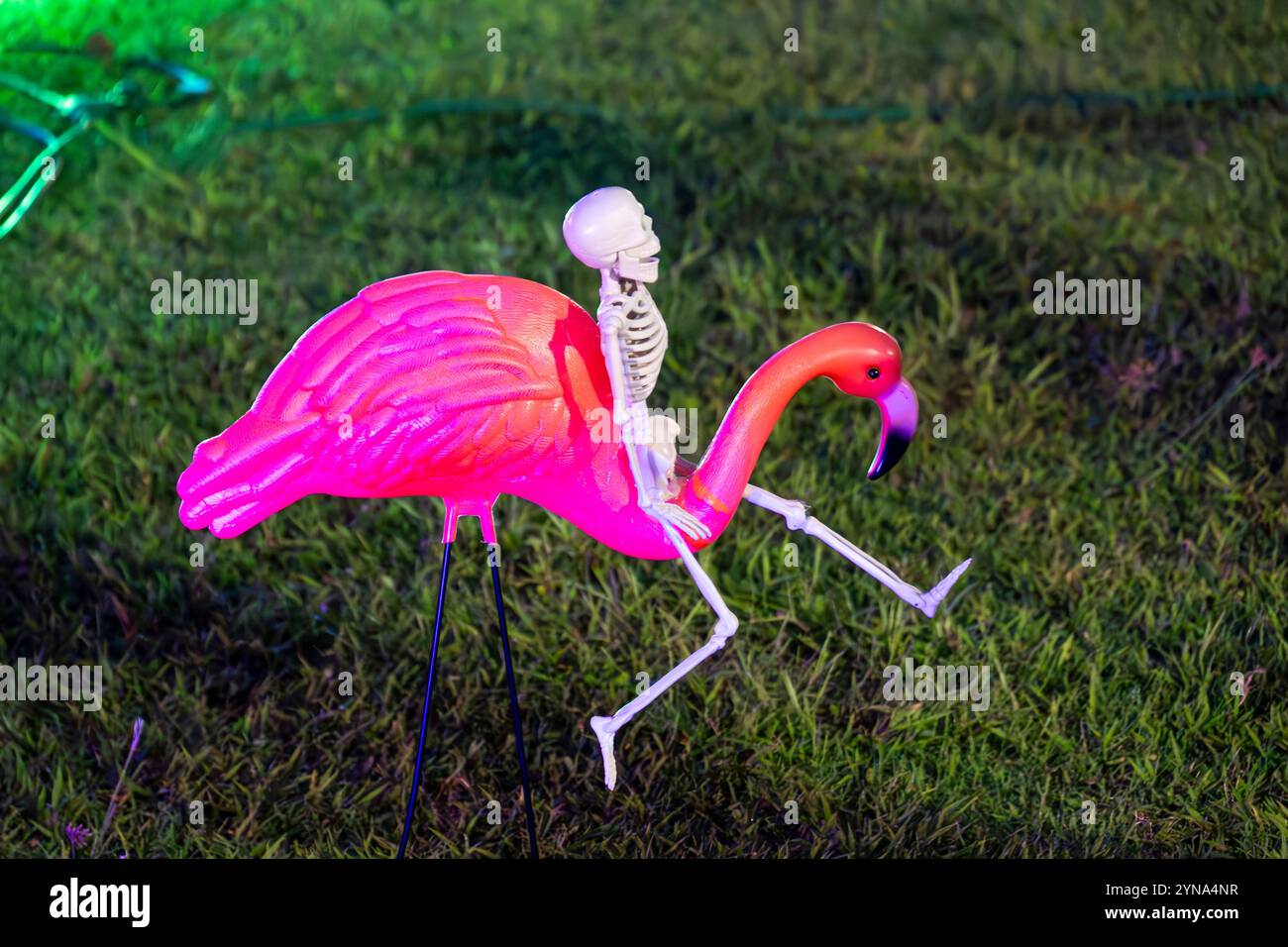 halloween night, trick or treating together Stock Photo - Alamy