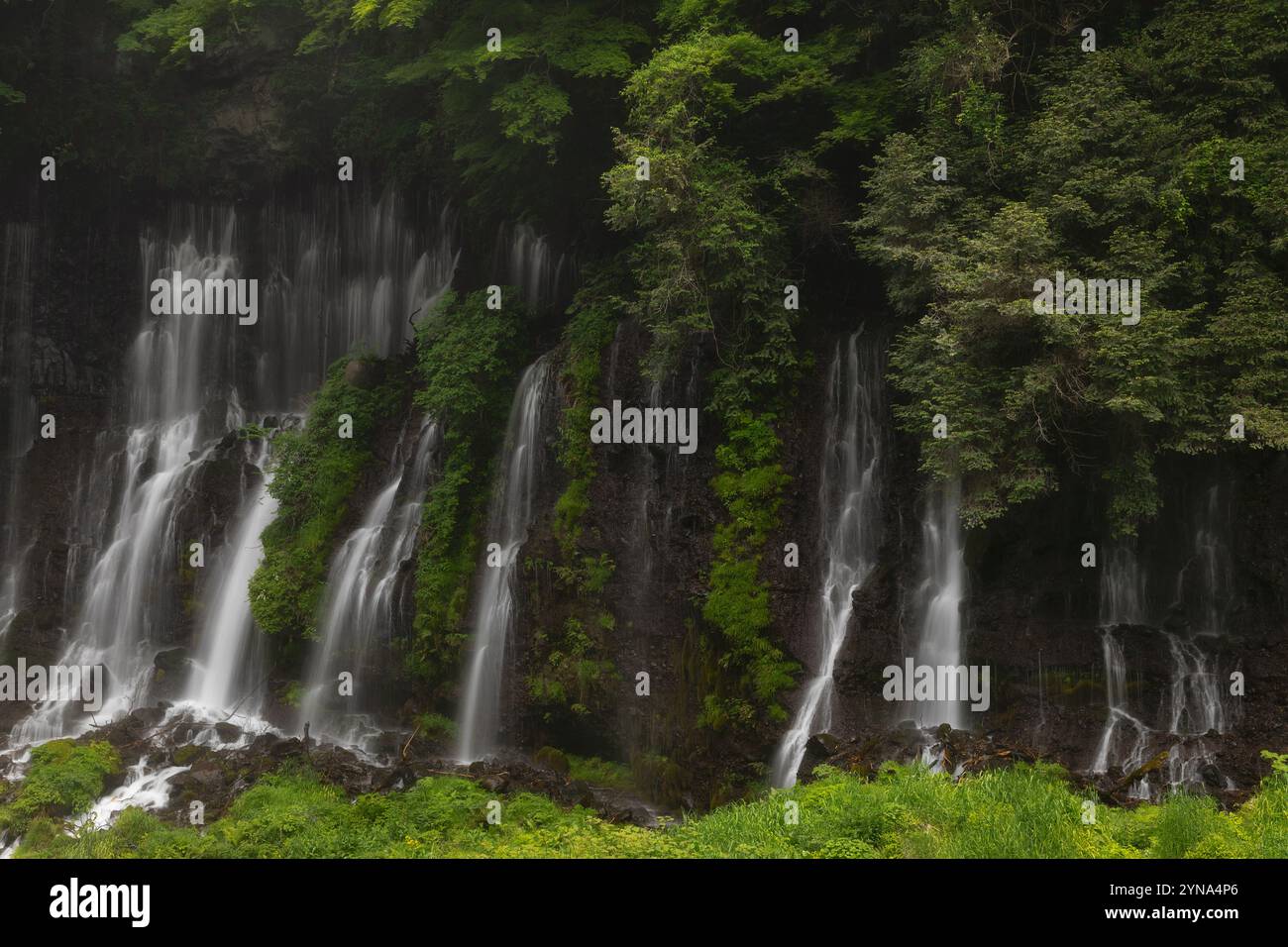 Shiraito waterfalls in spring in Japan Stock Photo - Alamy