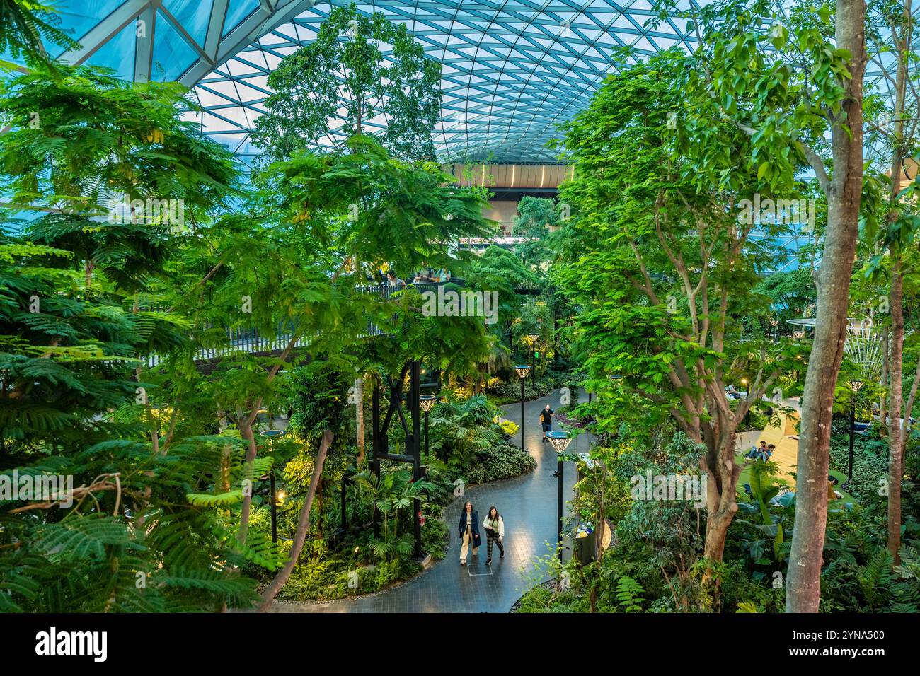 Qatar, Doha, Hamad International Airport, The Orchard Tropical Garden ...