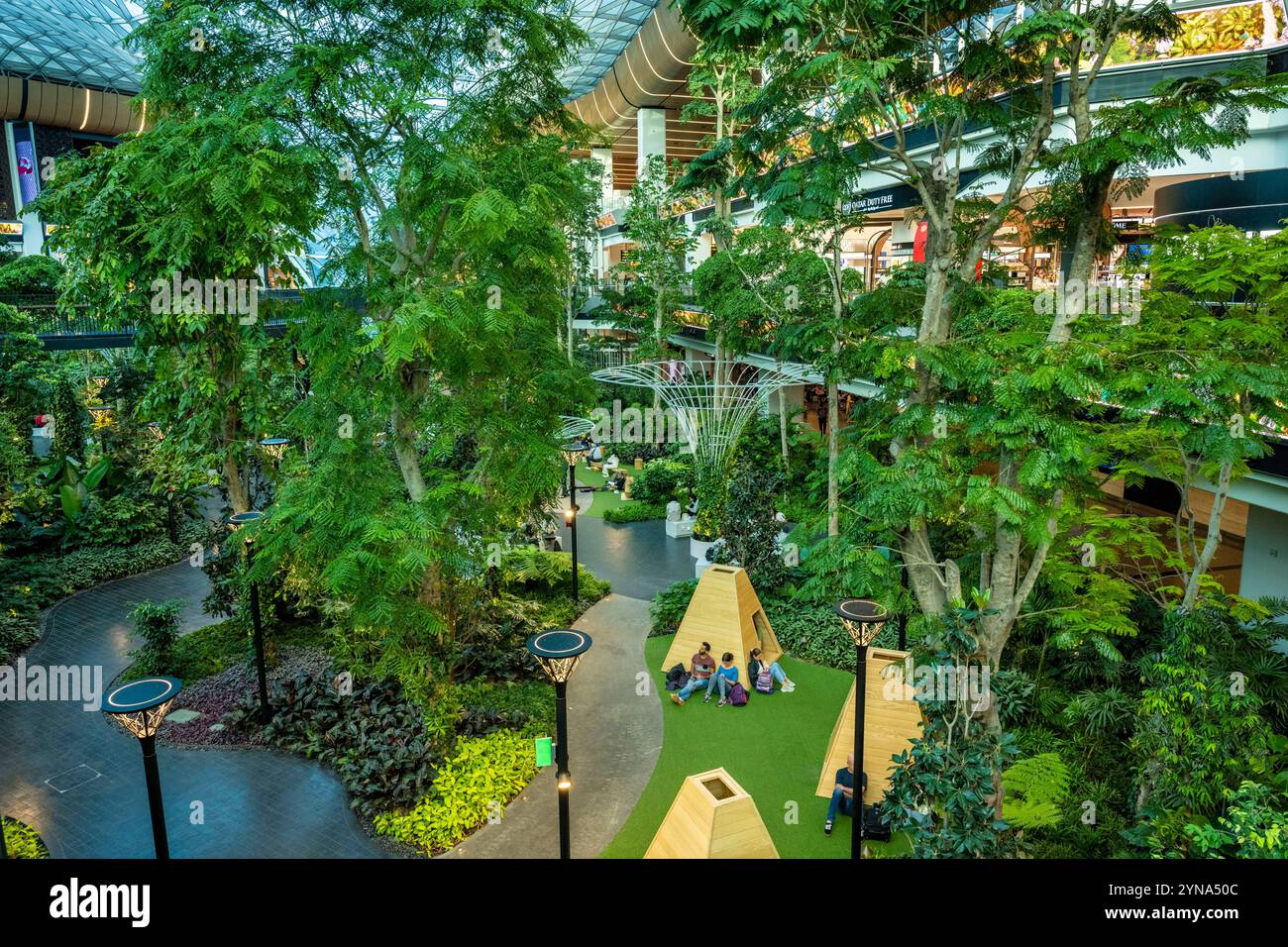 Qatar, Doha, Hamad International Airport, The Orchard Tropical Garden ...