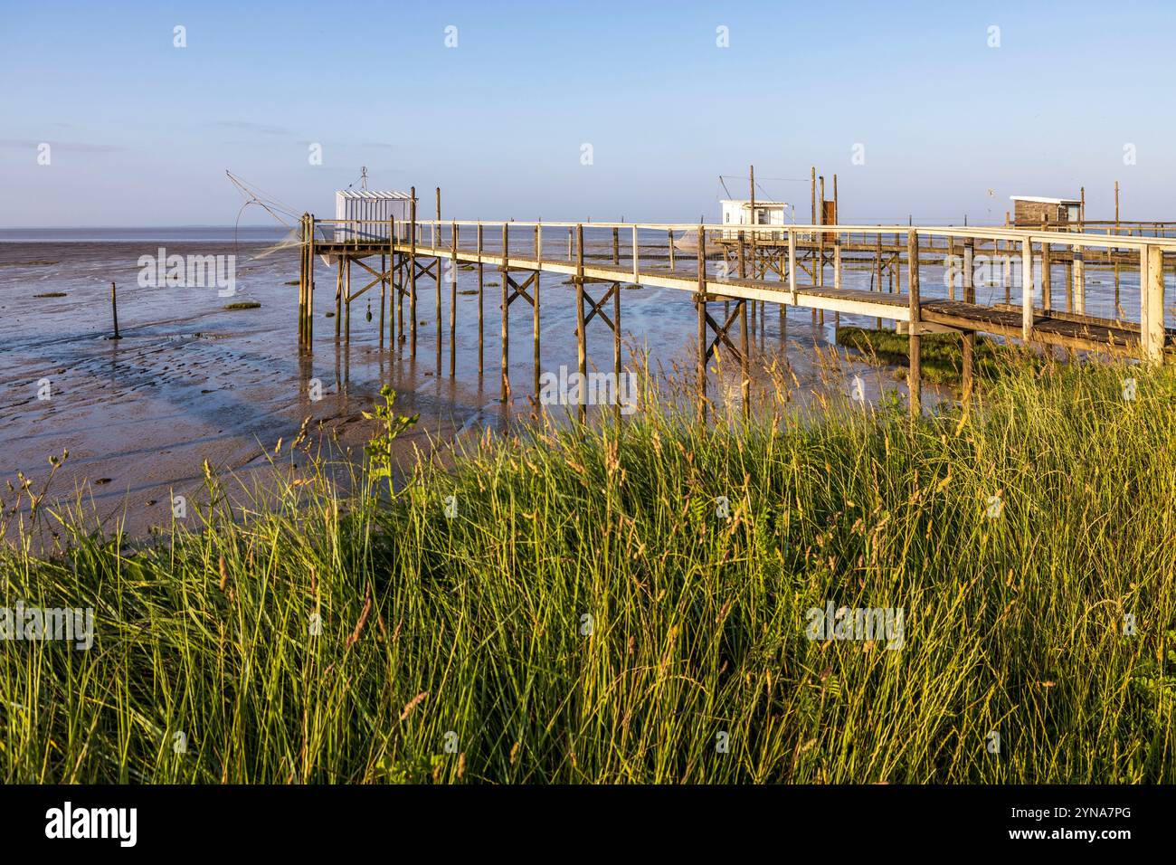 France, Charente-Maritime, the site of Port Maran between Meschers-sur ...