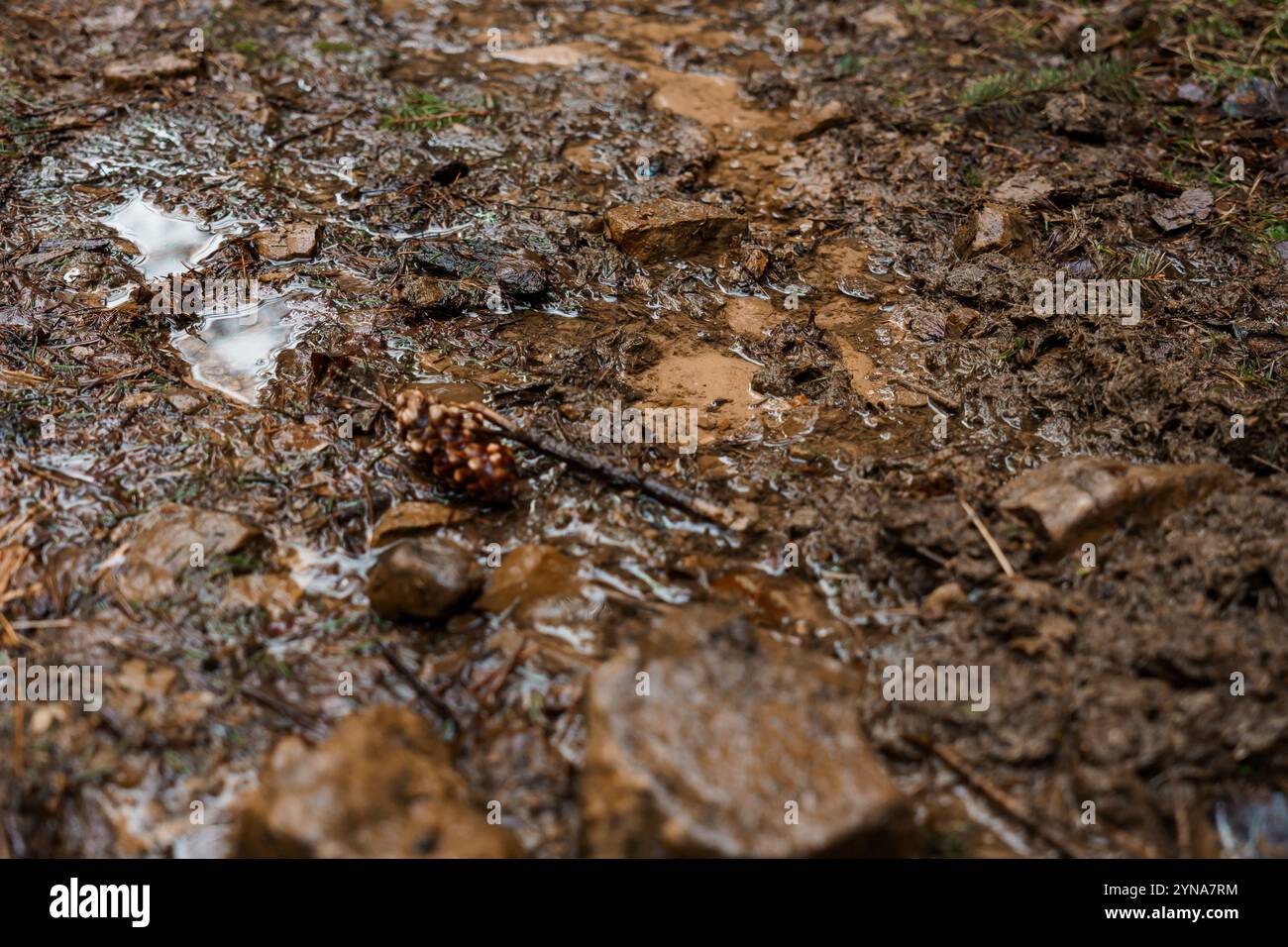 Mud puddles hiking in rainy hi-res stock photography and images - Alamy