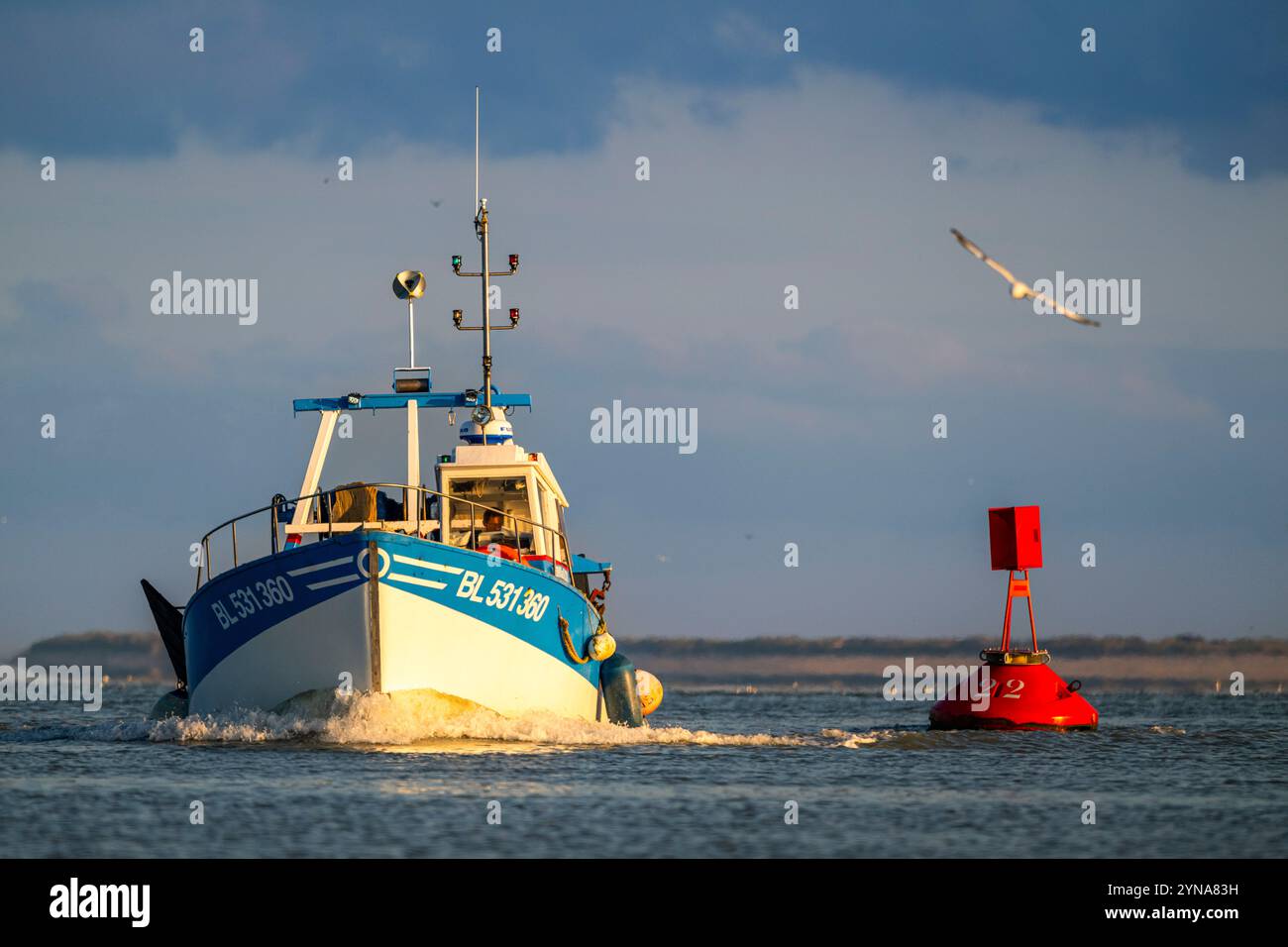 France, Somme, Baie de Somme, Le Hourdel, at high tide, the trawlers ...