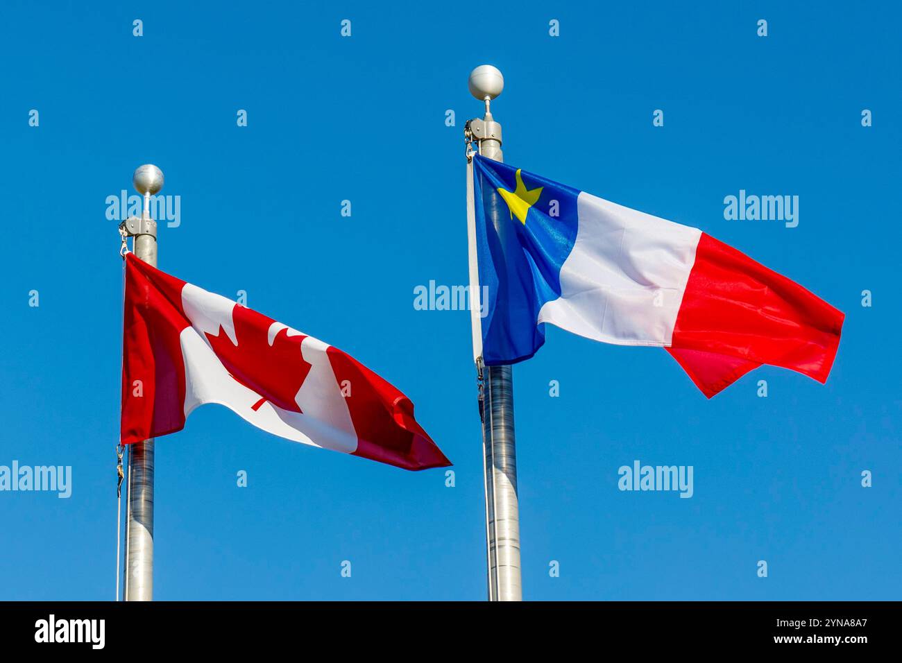 Canada, province of New Brunswick, the flags of Canada (stable leaf ...
