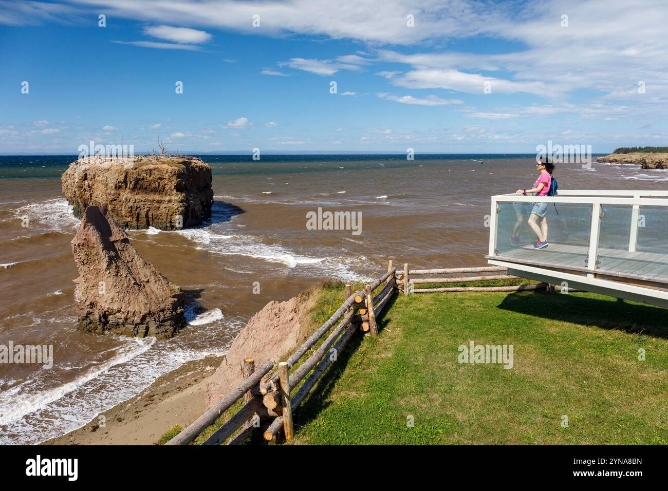 Canada, New Brunswick province, Acadian coast, Caps region, Pokeshaw ...